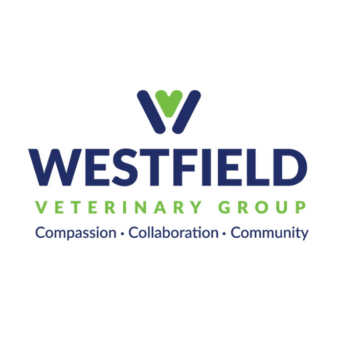 Reliable Animal Hospital in Westfield NJ | Expert Care
