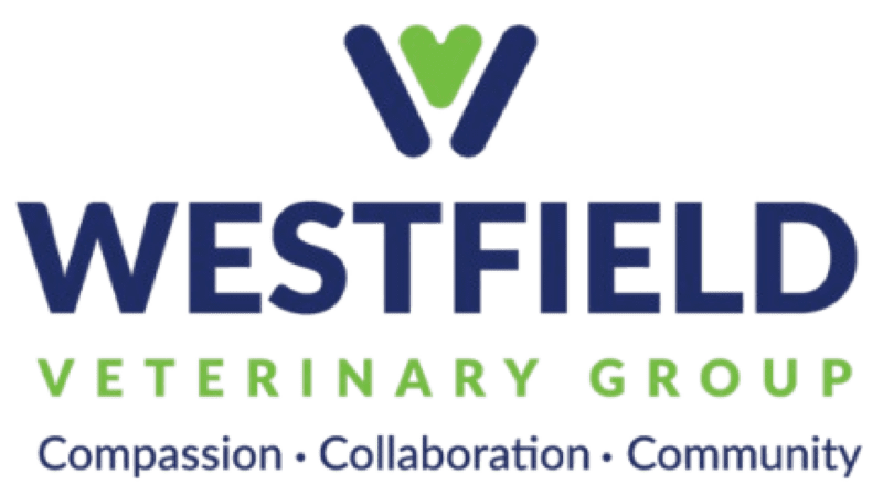 Trusted Animal Hospital in Union, NJ | Expert Pet Care